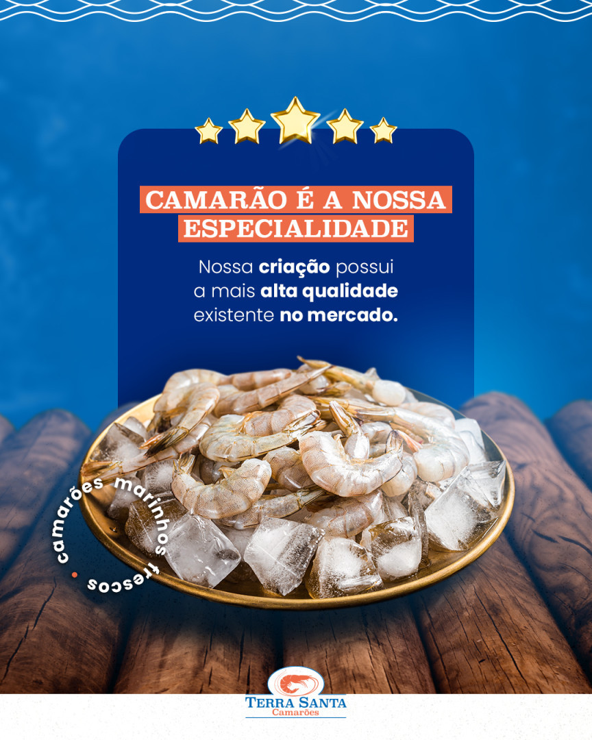 Arquivo de Camarão Descascado e Eviscerado - Receitas e curiosidades sobre Camarões - Terra ...